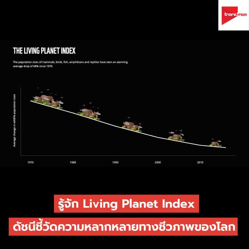 [Trendmizi ] รู้จัก Living Planet Index ดัชนีชี้วัดความหลากหลายทาง ...