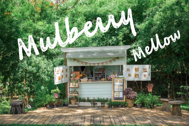 [แมนมากๆ] มัลเบอร์รี่ เมลโล่ Mulberry Mellow เป็นร้านกาแฟที่หลายๆคนอยาก ...
