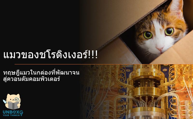 [Unbox your thinking] แมวของชโรดิงเงอร์!!! ทฤษฎีแมวในกล่องที่พัฒนาจนสู่ควอนตัมคอมพิวเตอร์ เมื่อ ...
