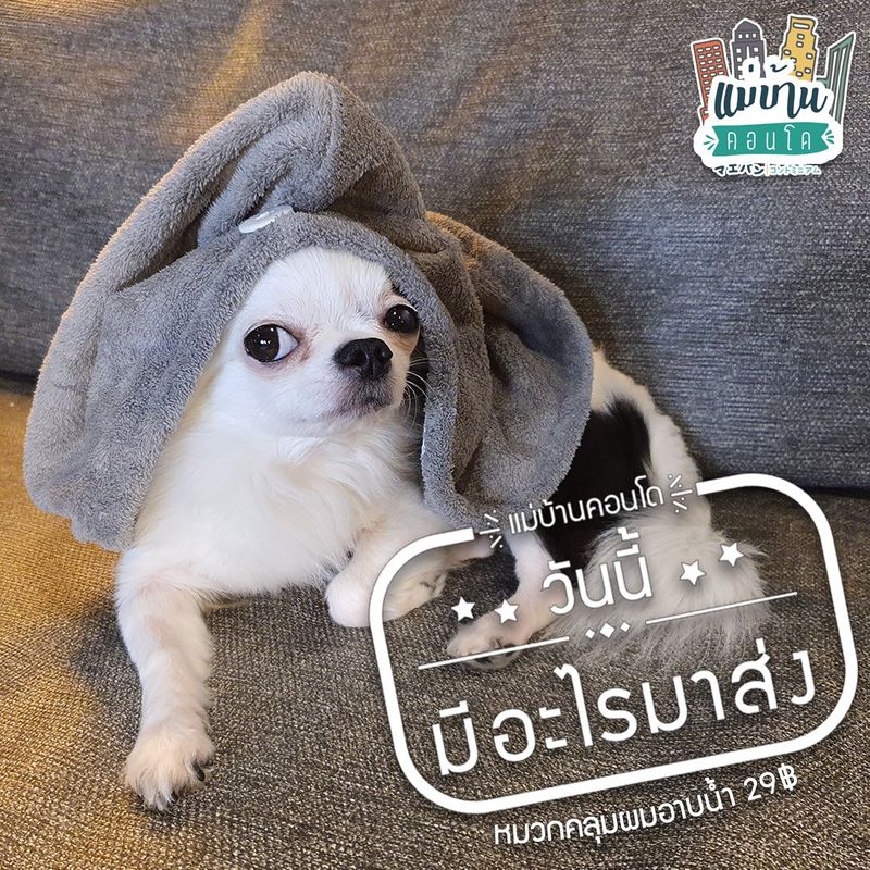 [Maeban Condo] วันนี้มีอะไรมาส่ง EP 306: หมวกคลุมผมอาบน้ำ 29฿ https://shp.ee/kje93hw ติดตามกัน ...