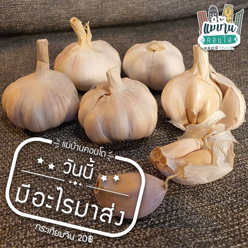 [Maeban Condo] วันนี้มีอะไรมาส่ง EP 310: กระเทียมจีน 20฿ https://shp.ee/kuegqzz ติดตามกันได้ทุก ...