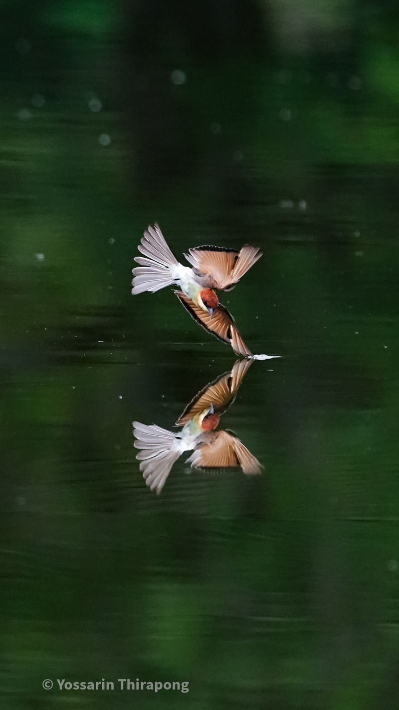 [Wide Life Story] หยุดเวลาที่สำคัญเอาไว้อย่างเหมาะเจาะและเหมาะสม เก็บ ...