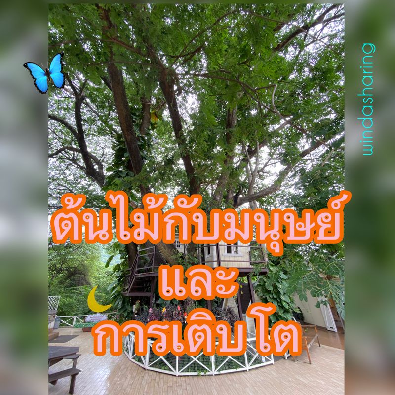 [Winda🦋เพจ windasharing] อรุณสวัสดิ์ค่ะ🤗⛅️🪴🦋