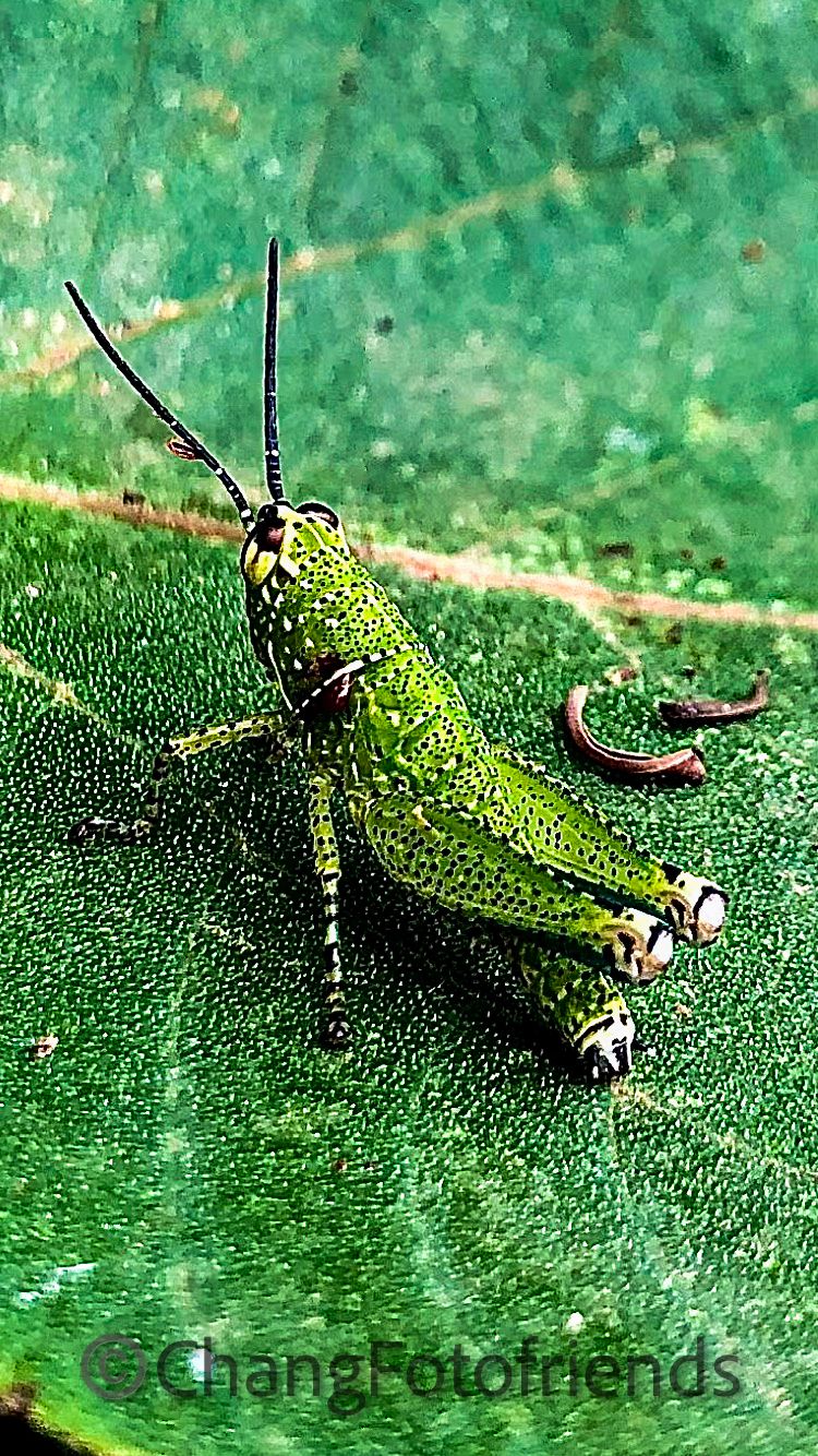 [Mon Kamonwan ] ไอเดียถ่ายภาพ