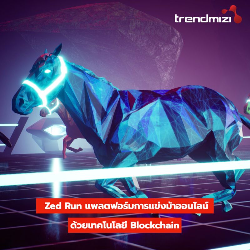 [Trendmizi ] Zed Run แพลตฟอร์มแข่งม้าออนไลน์ ด้วยเทคโนโลยี Blockchain เมื่ออนาคตของกีฬา สื่อ ...