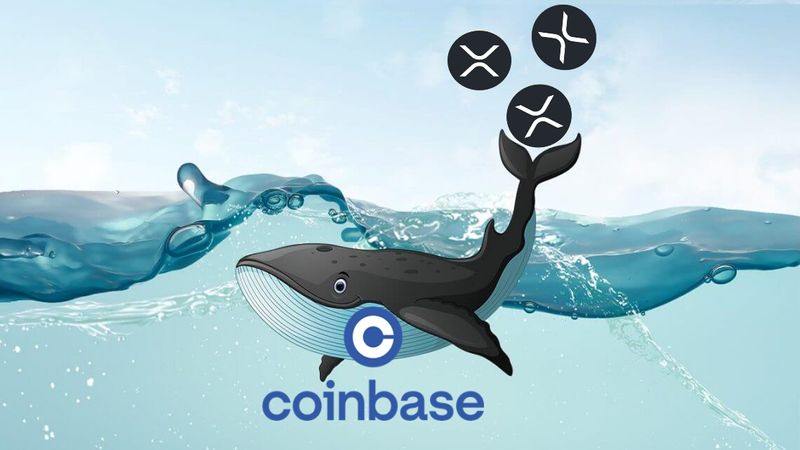[Cryptonews.in.th] Whale Alert “Coinbase โอน 62 ล้าน XRP” กระดานเปลี่ยน ...