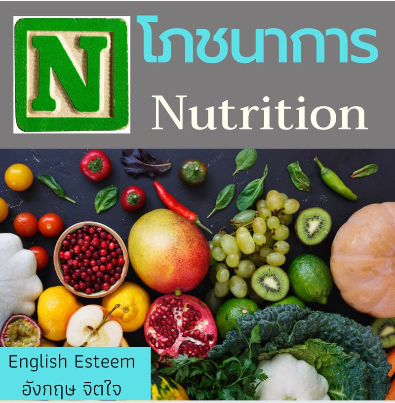[บ้านเรียนพลังบวก] N for Nutrition สารอาหารดีต่อกาย ดีต่อใจ โภชนาการ ...