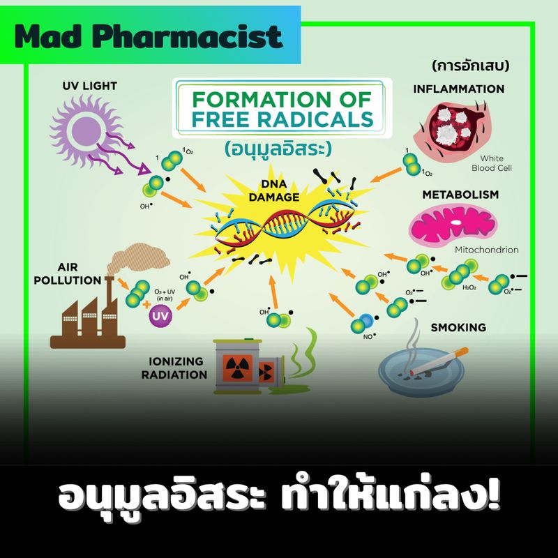 [Mad Pharmacist ] คงเห็นแล้วนะครับ #อนุมูลอิสระ อยู่ทุกช่วงเวลาจริงๆ ...