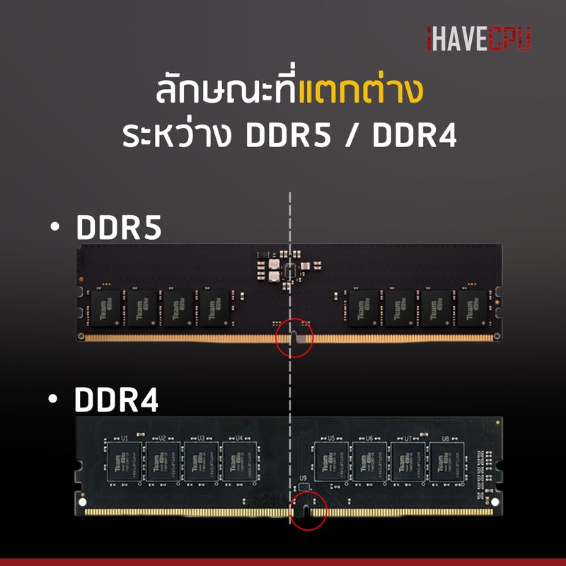 [iHAVECPU] ลักษณะที่แตกต่าง ระหว่างแรม DDR5 กับ DDR4 . 🚩 สำหรับใครที่สนใจจะเทรดบิตคอยน์ สามารถ ...