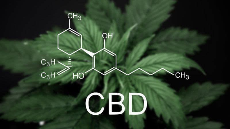 [ช่วยคนด้วยกัญ] วิจัยชี้ CBD ในกัญชา ช่วยรักษา “โควิด-19” / Marsha ...
