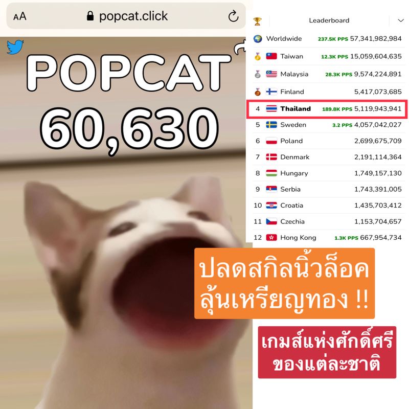 [มาดูหนังอ่านข่าวกัน] พาทำความรู้จักเกมส์ POP CAT เกมส์คลิ๊กน้องแมวอ้า ...