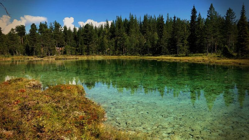 [Su in Sweden สุศรีสวีเดน🇸🇪] เดินป่าลุยธรรมชาติ ตามหาสระมรกตที่สวีเดน ...