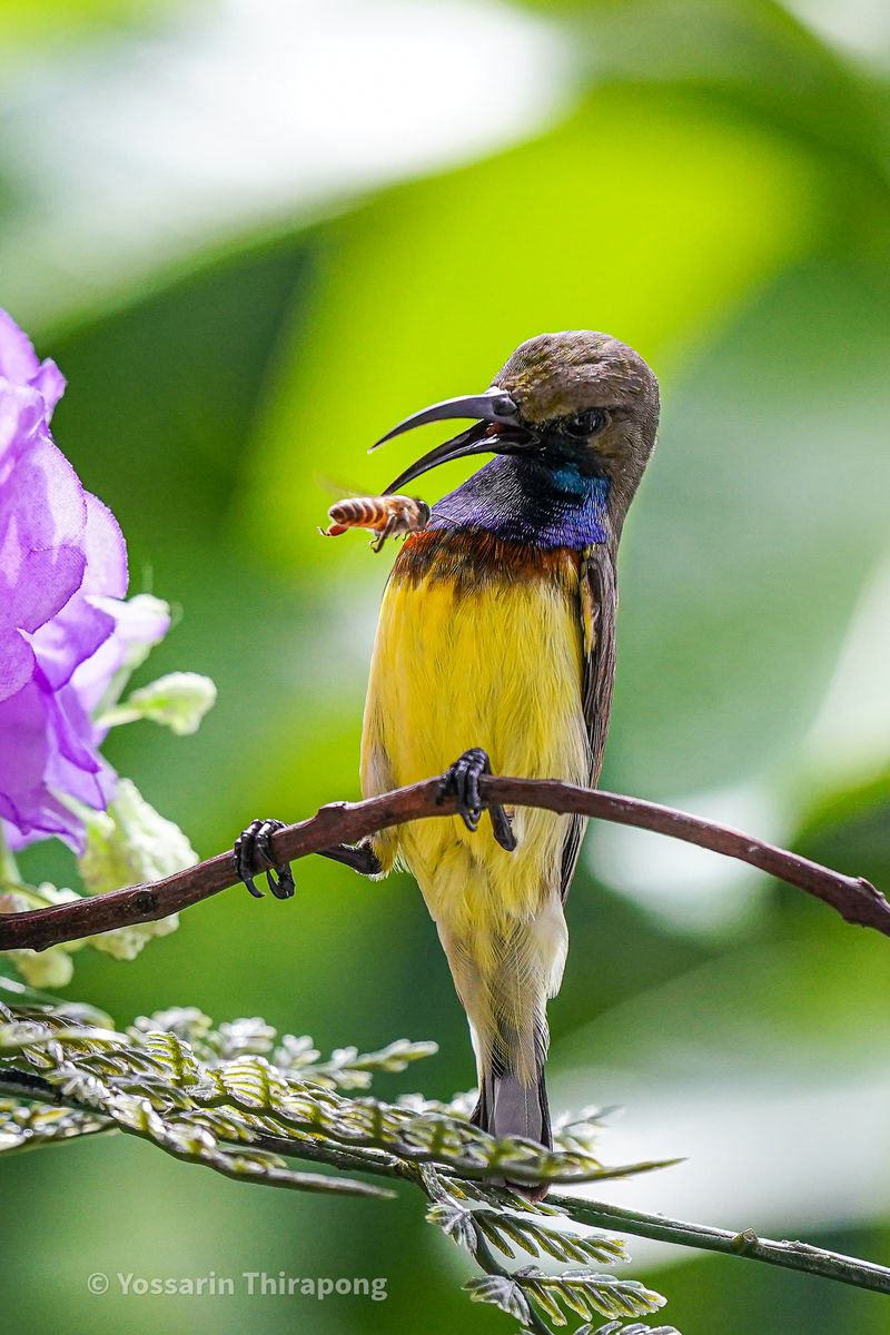 [Wide Life Story] จงเล่าเรื่องราวในภาพๆนี้ตาม ทรรศนะของคุณ