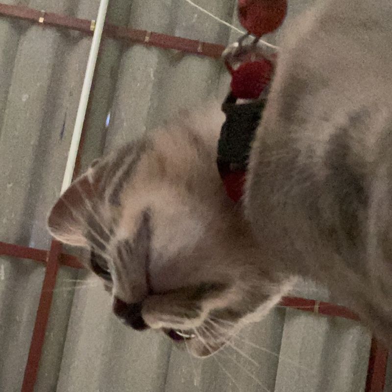 [Tomang ] ฟังค่ะ ทำอย่างอื่นแล้วก็ฟังไปด้วย