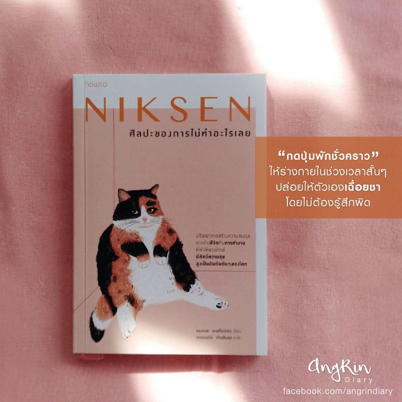 [AngRin Diary] NIKSEN : ศิลปะของการไม่ทำอะไรเลย เราอยู่ในยุคที่ทุกอย่างเร่งรีบไปหมด หนึ่งคนต้อง ...