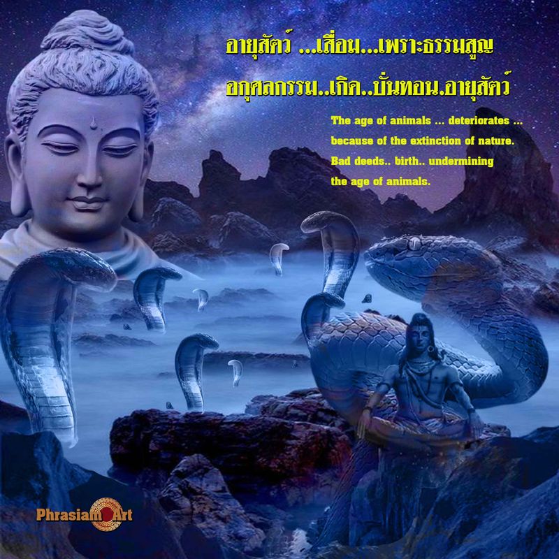 [phrasiam] ความเสื่อมของอายุสัตว์ สิ่งสำคัญในเนื้อหาของจักกวัตติสูตร จะ ...