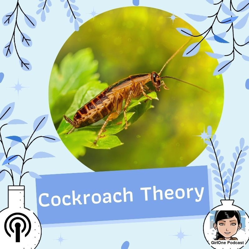 [GirlOne] EP494 Cockroach Theory โลกธุรกิจ มันมีทฤษฎีหนึ่งที่ชื่อว่า “ทฤษฎีแมลงสาบ หรือ ...