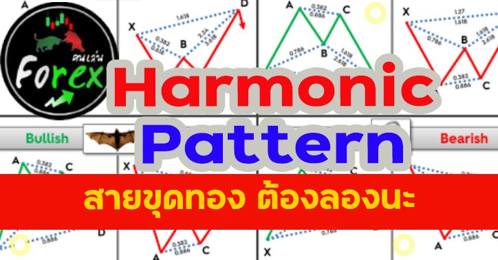 [TanOfficial] Harmonic pattern สายขุดทองต้องลองนะ harmonic pattern