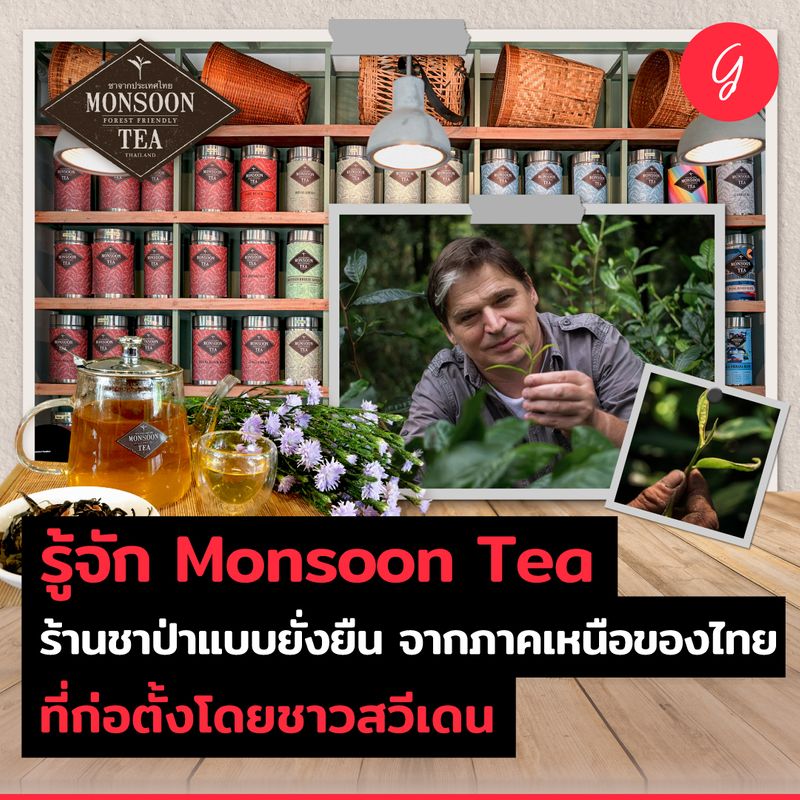 [ลงทุนเกิร์ล] รู้จัก Monsoon Tea ร้านชาป่าแบบยั่งยืน จากภาคเหนือของไทย ...