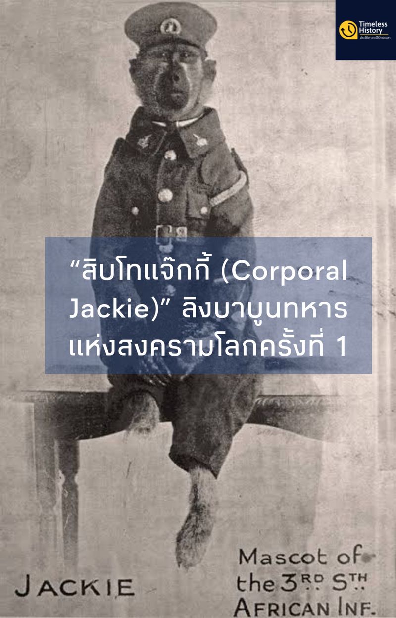 [Timeless History (ประวัติศาสตร์ไร้กาลเวลา)] “สิบโทแจ๊กกี้ (Corporal ...