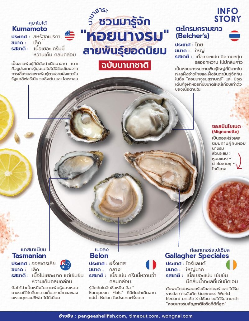 [InfoStory] ชวนรู้จัก "หอยนางรม (Oyster)" สายพันธุ์ที่น่าสนใจ รอบโลก ...