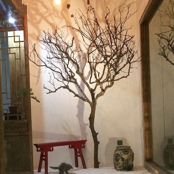 [Everythinghobby] DIY ศิลปะจากกิ่งไมัแห้ง สำหรับผู้ชอบสะสมอัดเก็บดอกไม้ใบหญ้า ไว้ในสมุด จนเต็ม ...