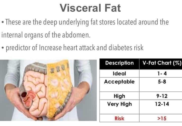 [ตอบปัญหาสุขภาพ] ภัยแบบเงียบ อย่างน่ากลัวVisceralFat คุณรู้จักหรือเปล่า ...