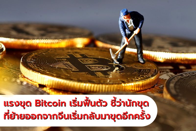 [Crypto Wolves] ผลกำไรการขุด Bitcoin เพิ่มขึ้น 275% นับตั้งแต่ก่อนการลดลงครึ่งหนึ่งในเดือน ...