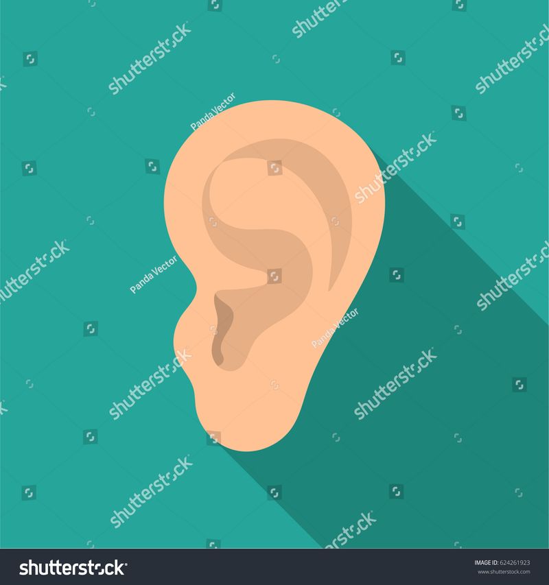 [ฉัตริน เจริญพืช] Perfect pitch เเละ Relative pitch Perfect pitch เเละ ...