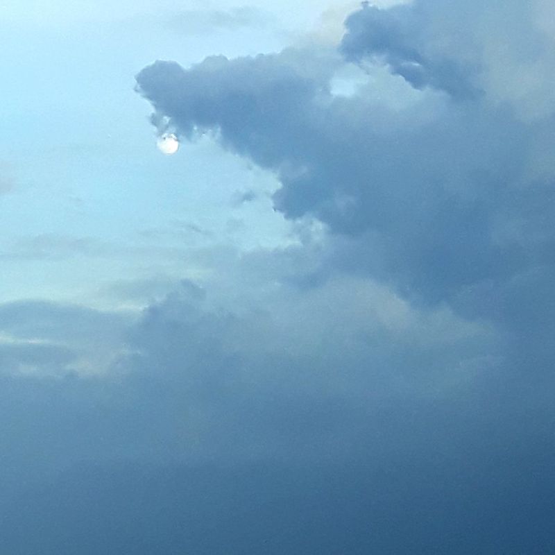 [Everythinghobby] ดูให้รู้ | ตู้เย็นเก็บผลไม้แช่แข็ง สดได้2-5 ปี ของญี่ปุ่นที่ รัฐบาลเวียต