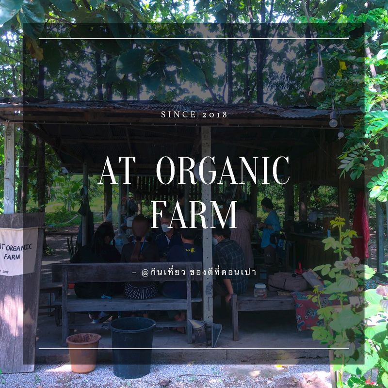 [กินเที่ยว ของดีที่ดอนเปา Don Pao The Traveller] ♥ ฟาร์มออแกนิค l ที่ ...