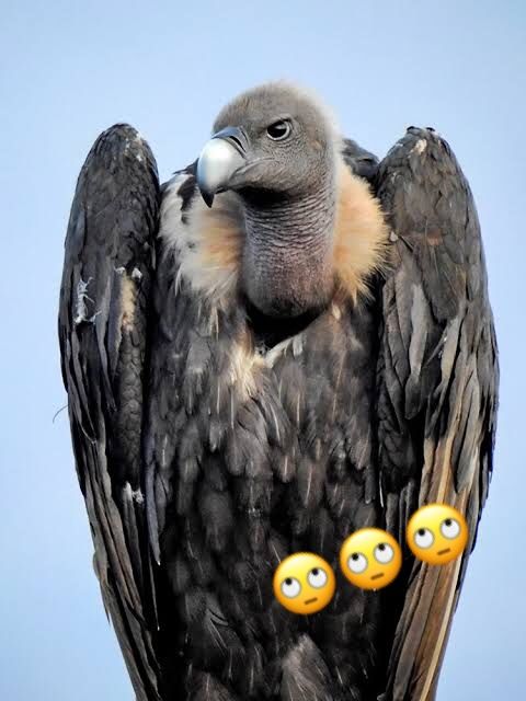 [ton.peerapong.ananthong]