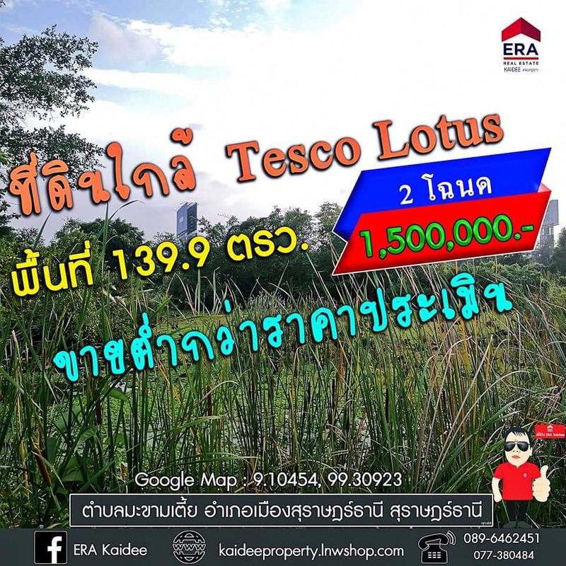 [ERA Kaidee บริษัทขายอสังหาริมทรัพย์ภาคใต้] ทรัพย์ที่ดินสวย ในเมือง สุราษฎร์ธานี และกาญจนดิษฐ์ ...