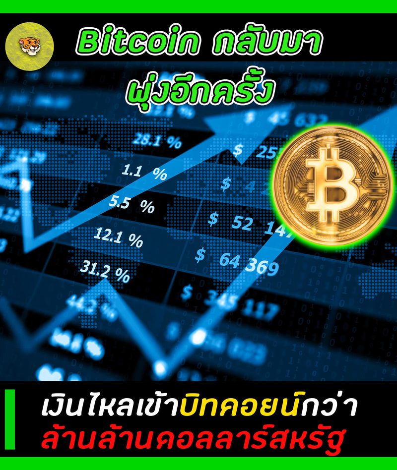 [Tiger Crypto] Bitcoin กลับมาพุ่งอีกครั้ง 💥 เนื่องจากมีเงินไหลเข้ามาใน ...
