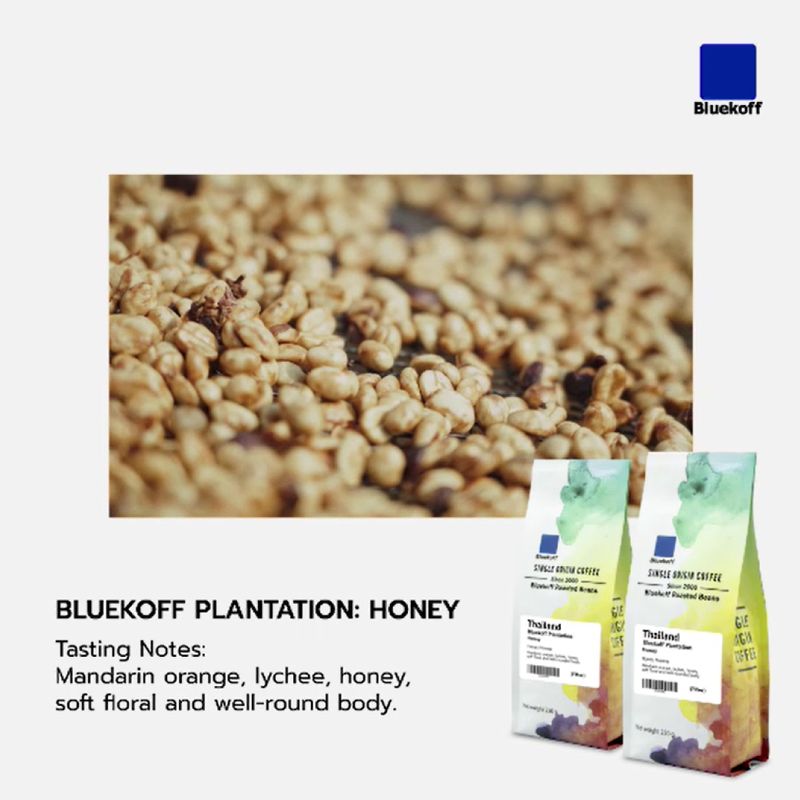 [Bluekoff] Honey Process กาแฟกลิ่นหอม รสชาติหวานฉ่ำที่ดื่มได้ทุกวัน ...