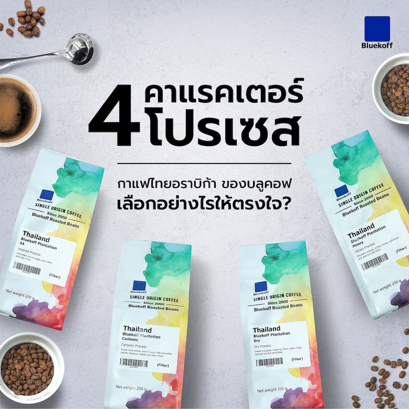 [Bluekoff] 4 คาแรคเตอร์ 4 โปรเซส กาแฟไทยอราบิก้า ของบลูคอฟ เลือกอย่างไร ...