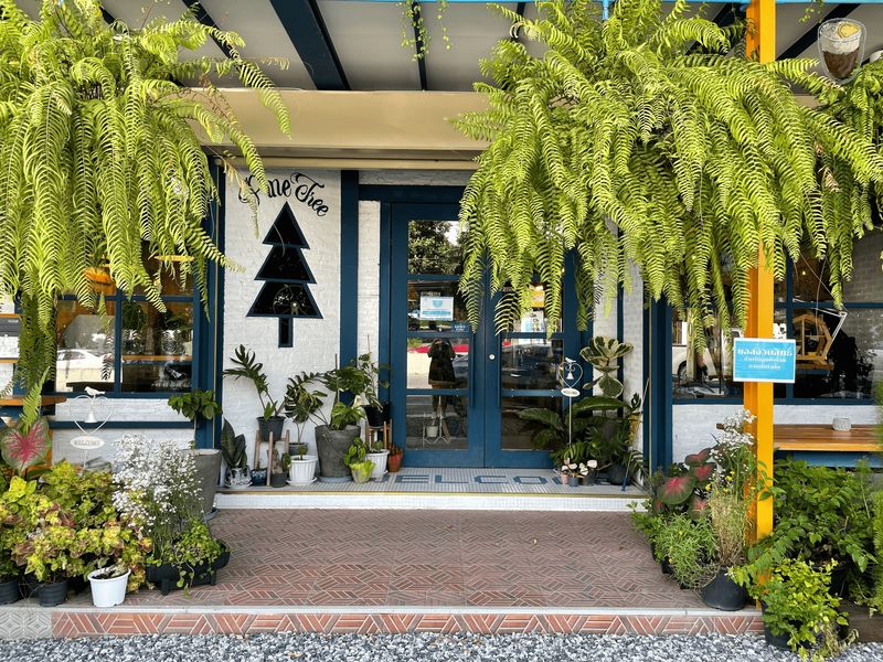 [PookieFoodie] PINE TREE Coffee Roasters Hidden Gem ของชลบุรีที่กาแฟ ...