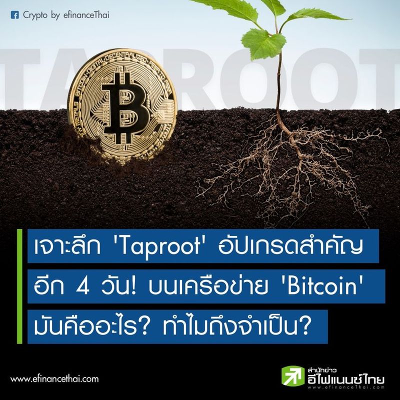 [Crypto by efinanceThai] 📌เจาะลึก 'Taproot' อัปเกรดสำคัญ อีก 4 วัน! บนเครือข่าย 'Bitcoin' มันคือ ...