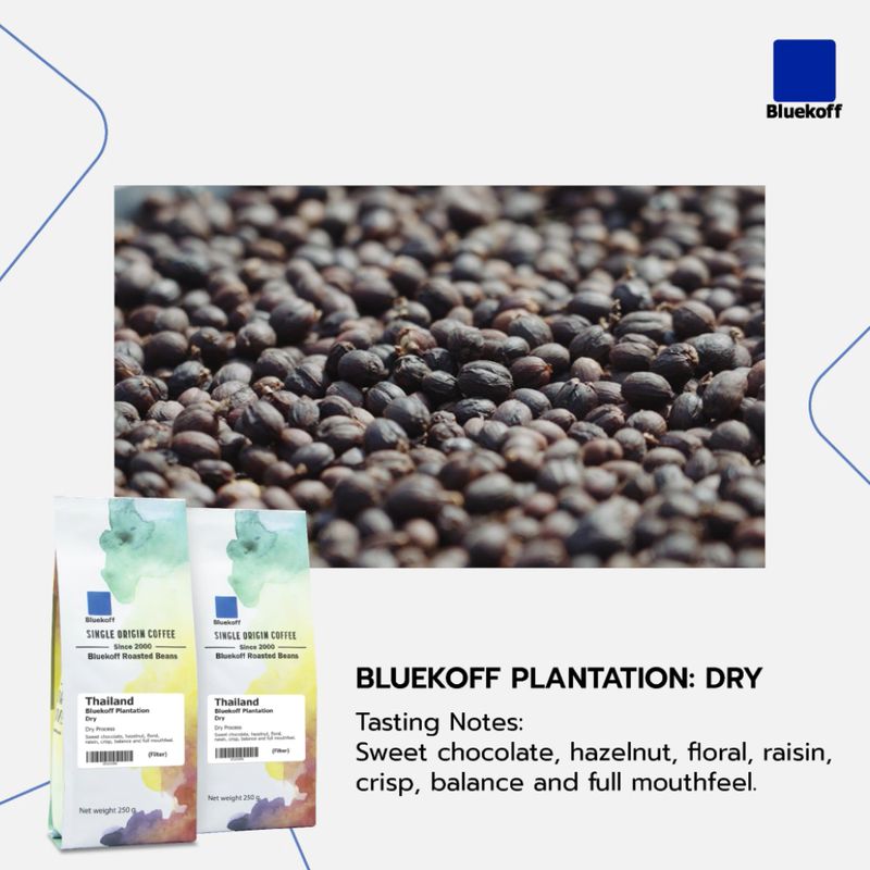 [Bluekoff] Bluekoff Plantation: Dry กาแฟที่ซ่อนความจัดจ้านที่เราอยากให้ ...