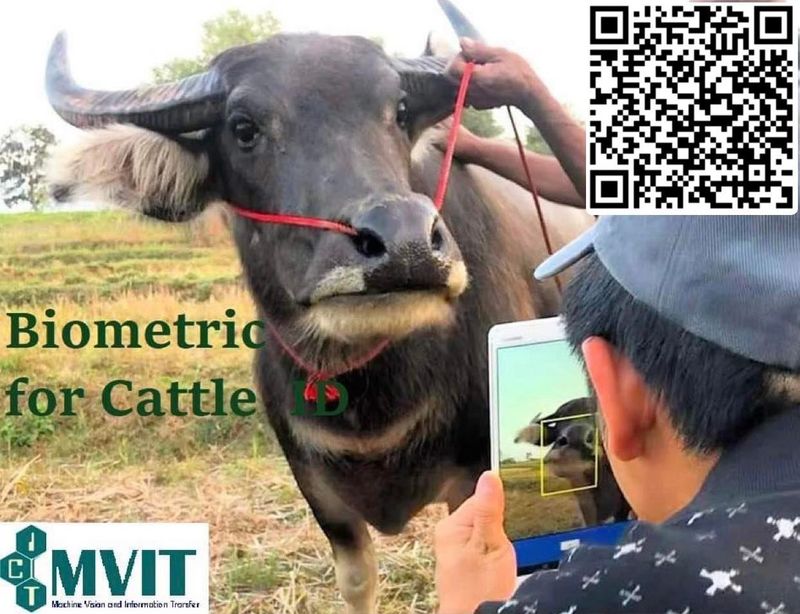 [MVIT Research LAB : Mahidol University] Animal Biometrics🎖การจำแนก การ ...