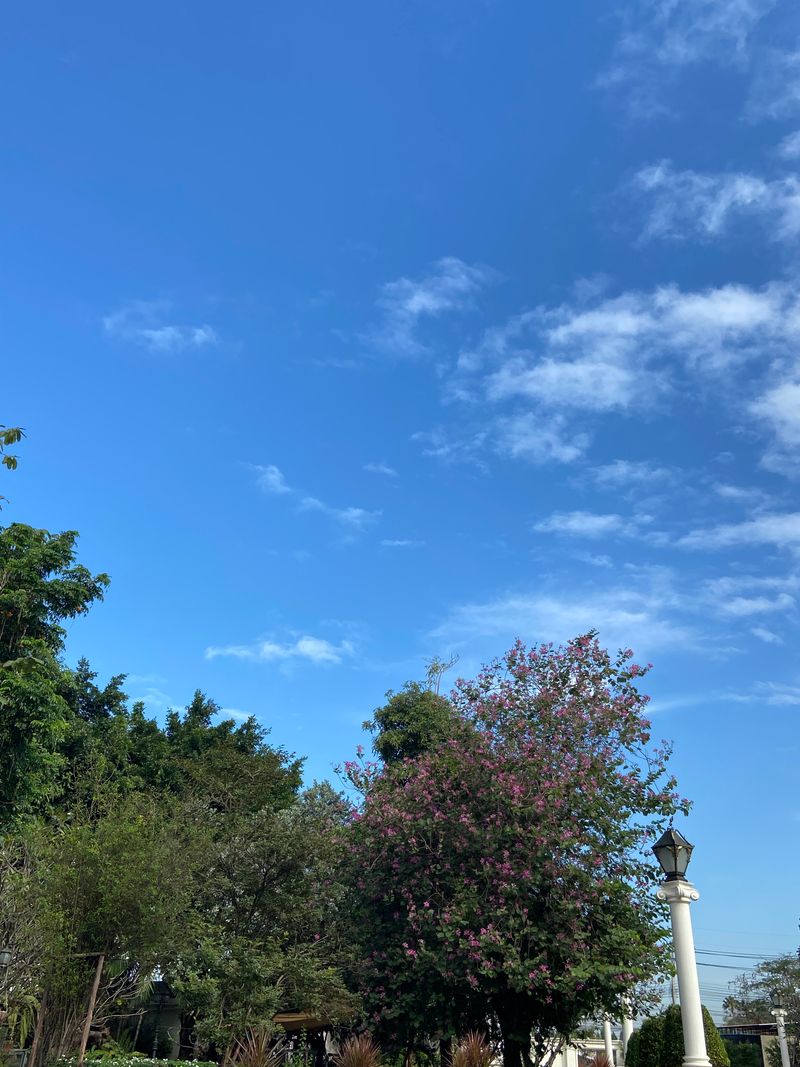 [Supada] ฉันชอบมองท้องฟ้า ไม่ว่าจะกลางวัน หรือกลางคืน หรือเวลาไหนท้อง ...