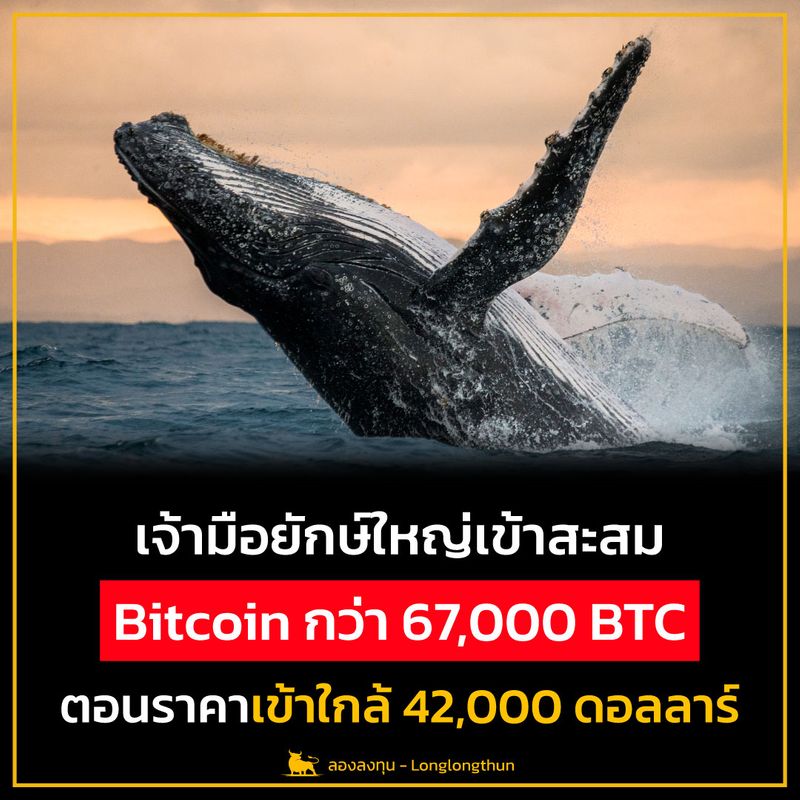 [ลองลงทุน] เจ้ามือยักษ์ใหญ่เข้าสะสม Bitcoin กว่า 67 000 Btc ตอนราคาเข้า