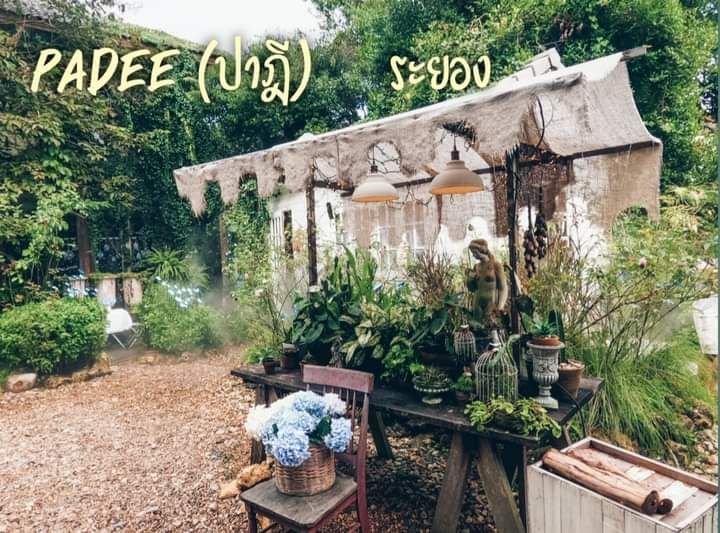[Poul's Journey] Padee (ปาฎี) คาเฟ่ จ.ระยอง เป็นอีกร้านที่อยากแนะนำ หาก ...