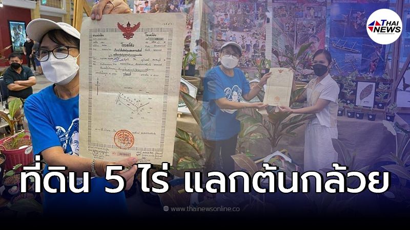 [Thainewsonline - ไทยนิวส์ออนไลน์] ฮือฮา สาวใจถึง หอบโฉนดที่ดิน 5 ไร่ มาแลกกล้วยแดงอินโด ยังคง ...