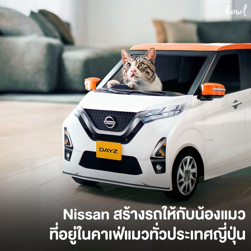 [howl] Car for Cash หลบไป เพราะนี่คือ Car for Cats !!! บอกเลยว่างานนี้ ...