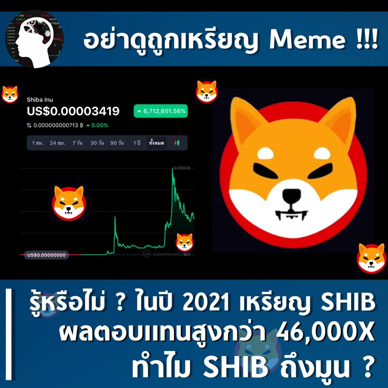 [อ่านให้ไฟลุก] อย่าดูถูกเหรียญ Meme !!! รู้หรือไม่? เหรียญที่มีผลตอบแทน ...