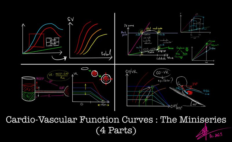 [Beginner's Heart Series] Cardio-vascular graphs and curves (for ...