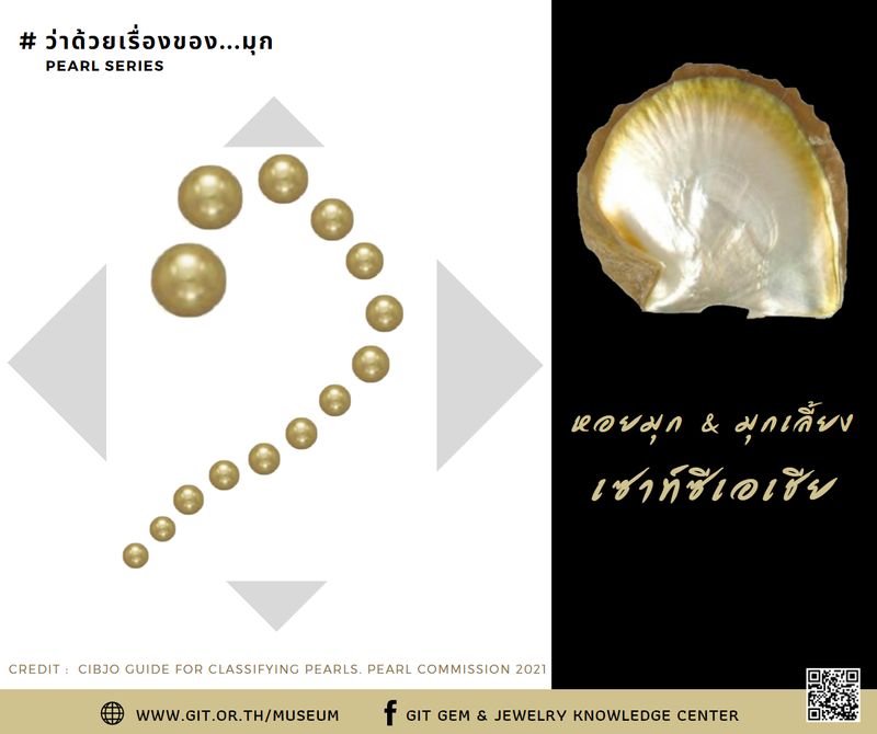 [ GIT Gem & Jewelry Knowledge Center] ว่าด้วยเรื่องของ “มุก” : Pearl ...