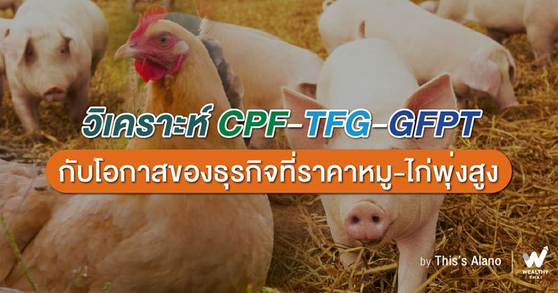 [Wealthy Thai] วิเคราะห์ CPF-TFG- GFPT กับโอกาสของธุรกิจที่ราคาหมู-ไก่พุ่งสูง จากประเด็นที่ราคา ...