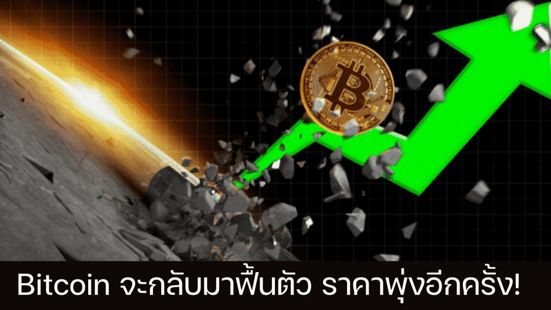 [Crypto Wolves] Bitcoin ได้สร้างความเจ็บปวดอย่างมากให้กับตลาดกระทิงในช่วงไม่กี่สัปดาห์ที่ผ่านมา ...